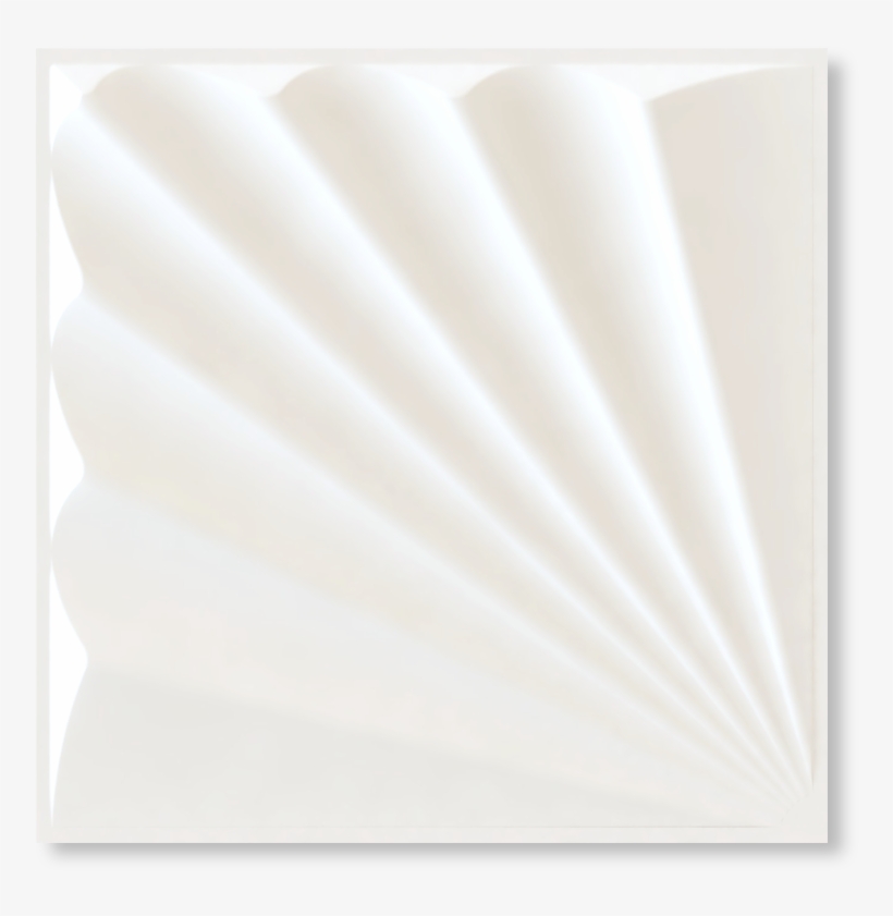 Conch - Paper - Free Transparent PNG Download - PNGkey