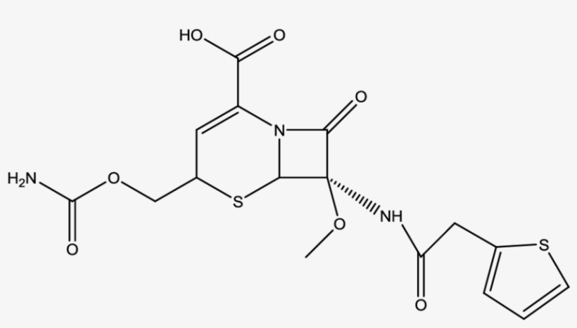 Structure Of Cephamycin Molecule - Structure - Free Transparent PNG ...