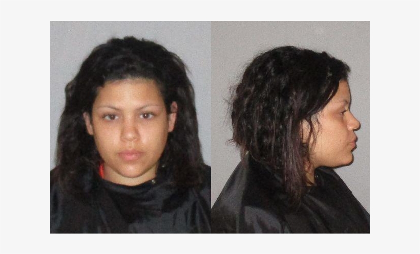 Palm Coast Woman Arrested On Three Counts Of Animal - Palm Coast ...