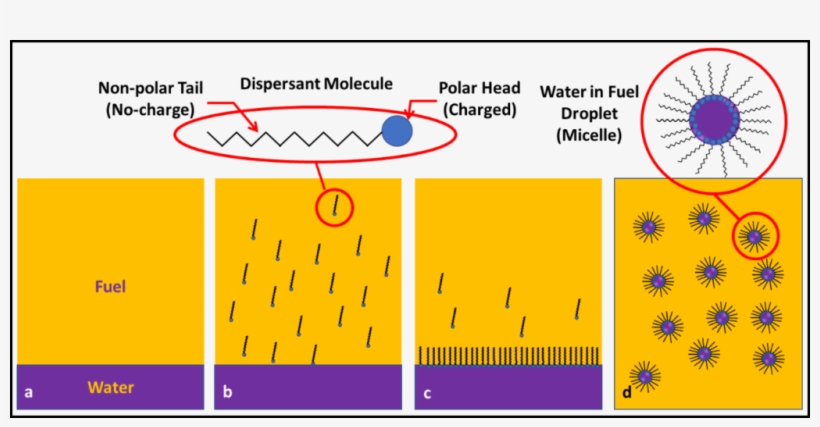 Dispersant Action - Diagram - Free Transparent PNG Download - PNGkey