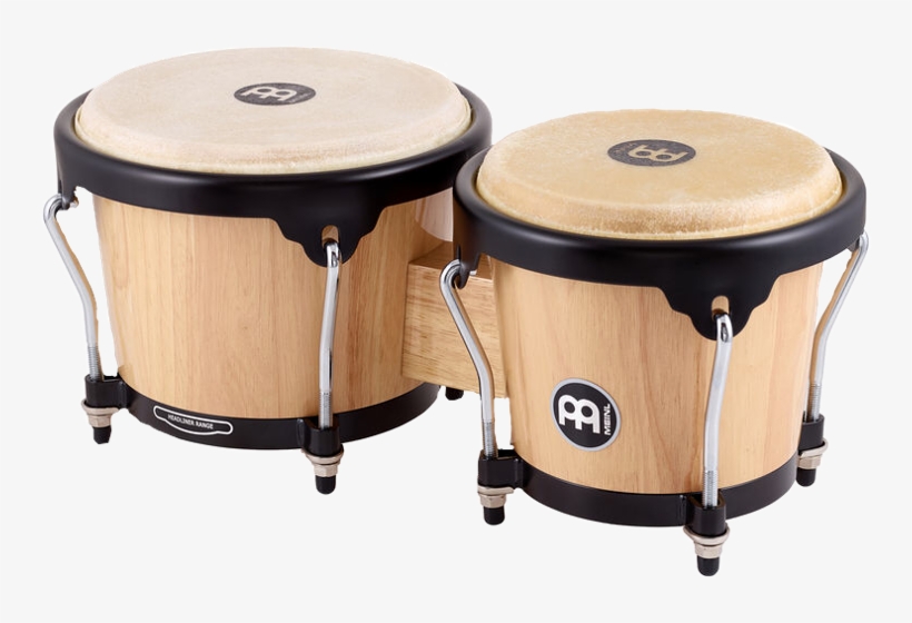 Bongo Cat - Free Transparent PNG Download - PNGkey