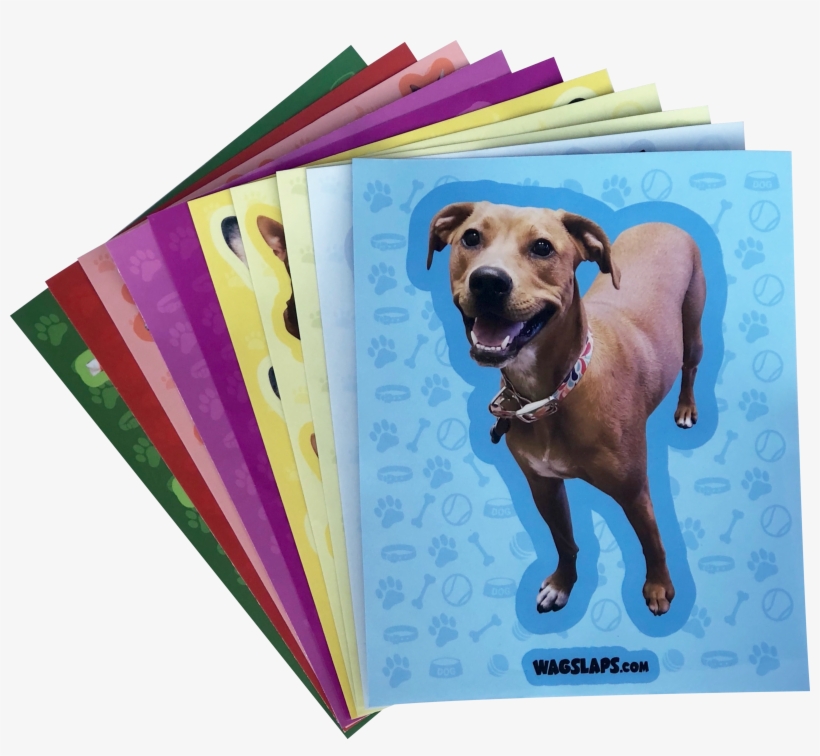 Large Custom Car Decal - Car - Free Transparent PNG Download - PNGkey