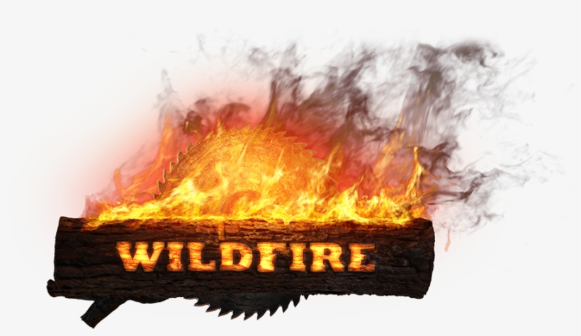 Wf Logo - Flame - Free Transparent PNG Download - PNGkey