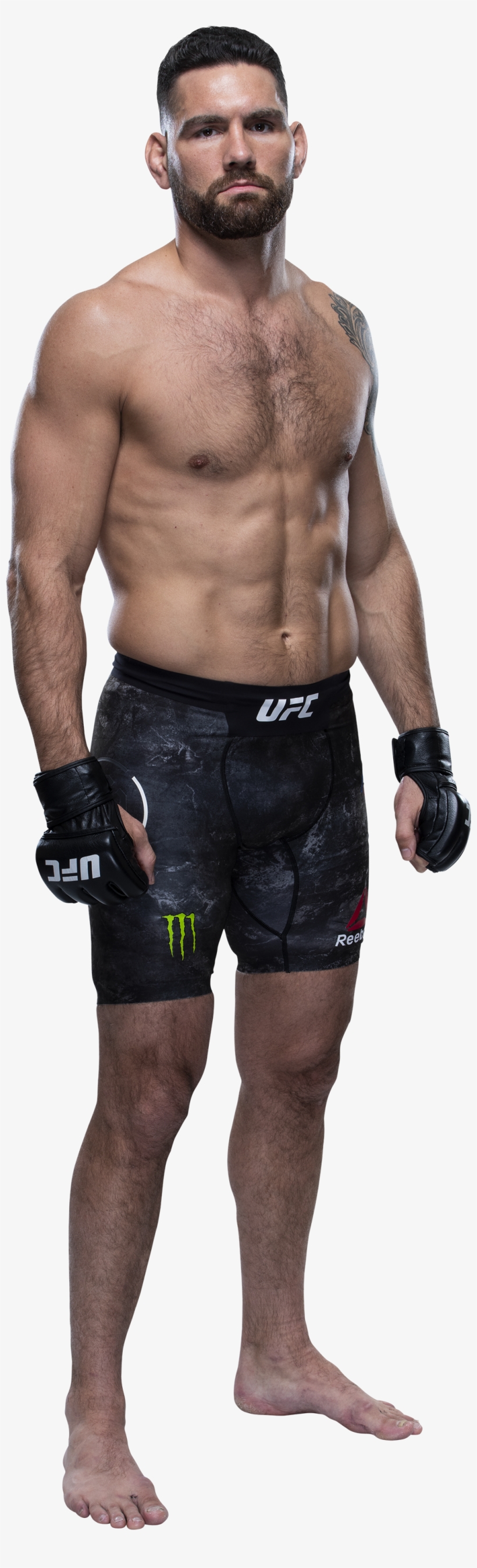 Michael Bisping Png - Free Transparent PNG Download - PNGkey