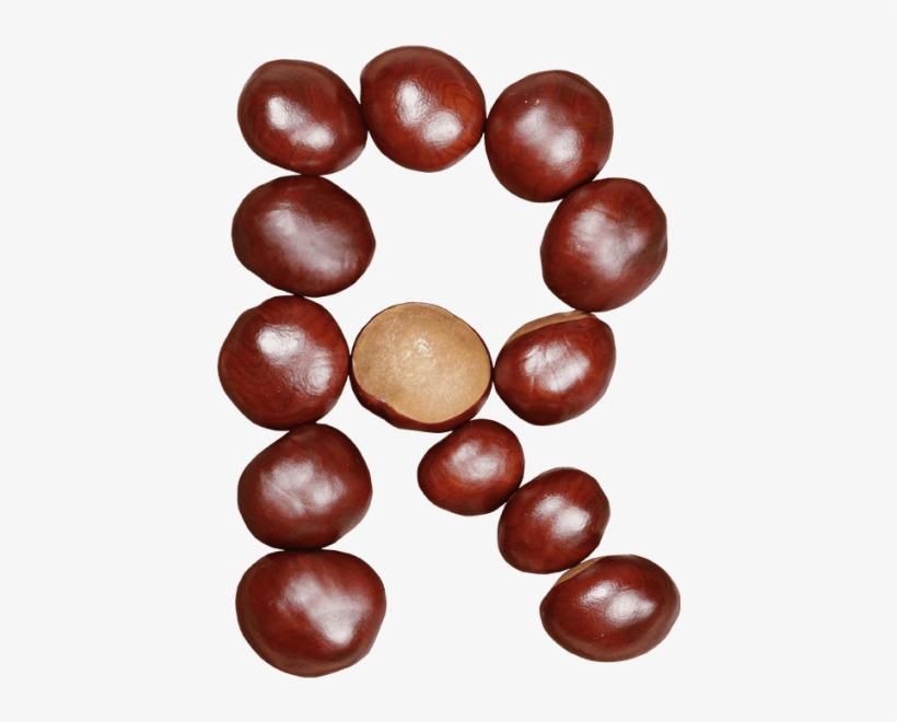 Chestnut Font - Font - Free Transparent PNG Download - PNGkey