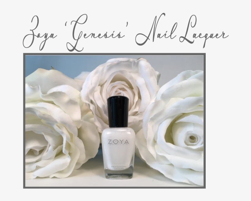 Genesis - Nail Polish - Free Transparent PNG Download - PNGkey