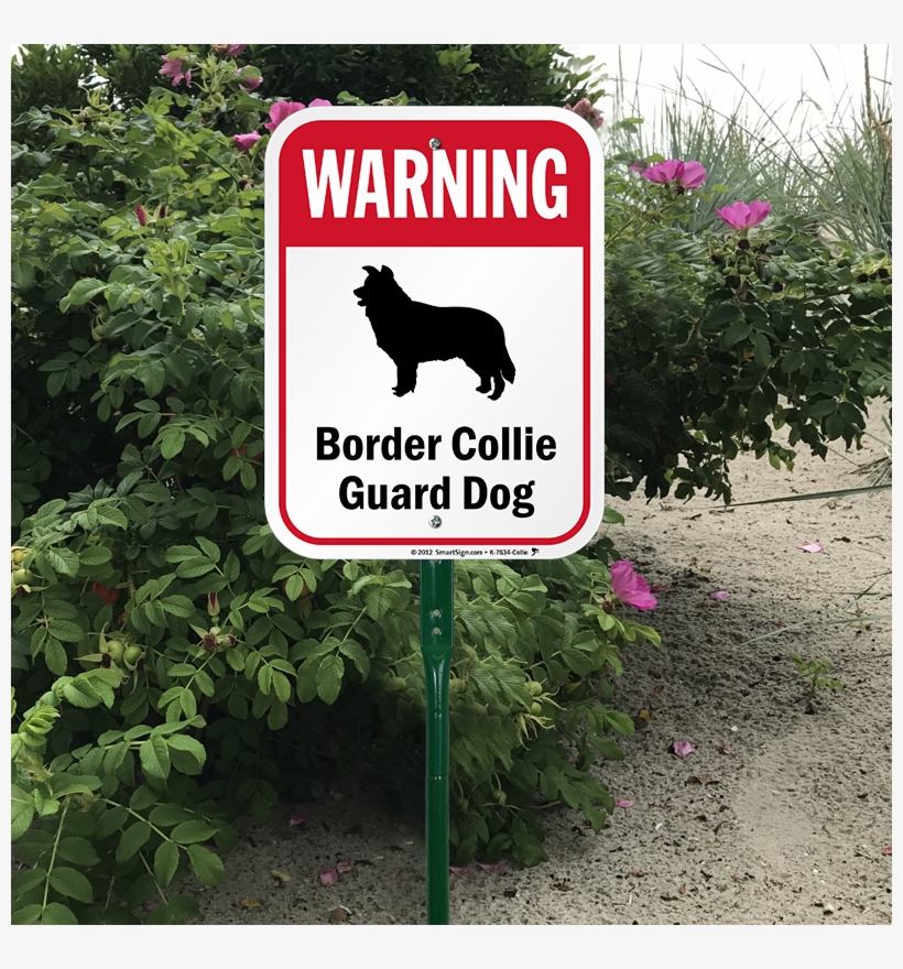 Warning Border Collie Guard Dog Lawnboss™ Signs - Smartsign By Lyle K ...