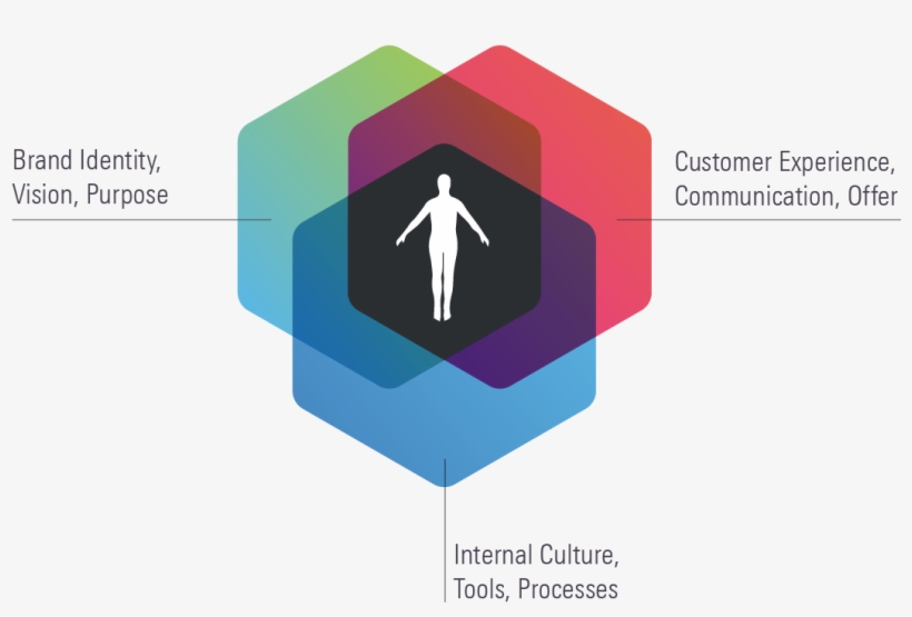 User Centered Design Logo - Free Transparent PNG Download - PNGkey