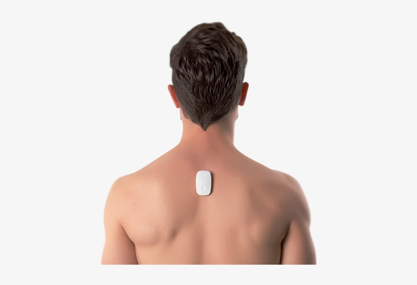 Love Your Back And It'll Love You Back - Back Of Head Png - Free ...