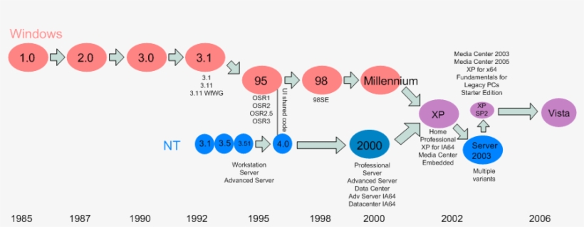 Windows Family Tree - Free Transparent PNG Download - PNGkey