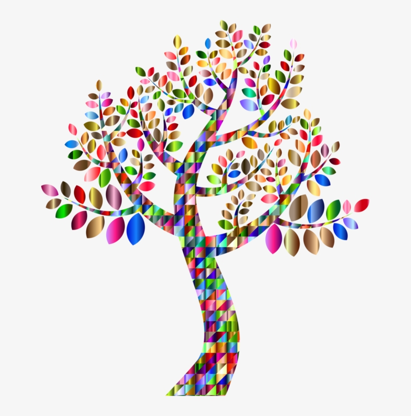 Genealogy Family Tree Family Tree Branch - Colorful Tree Transparent ...