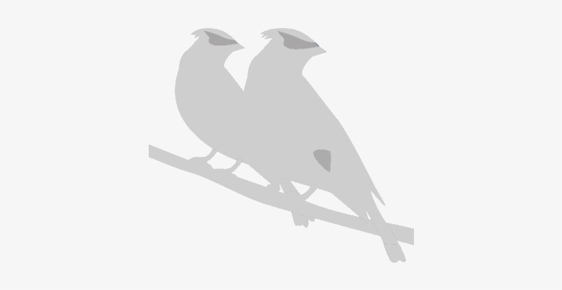 Birdwatching - Free Transparent PNG Download - PNGkey