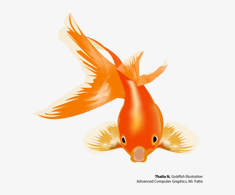 Goldfish And Betta - Gold Fish Vector Png - Free Transparent PNG ...