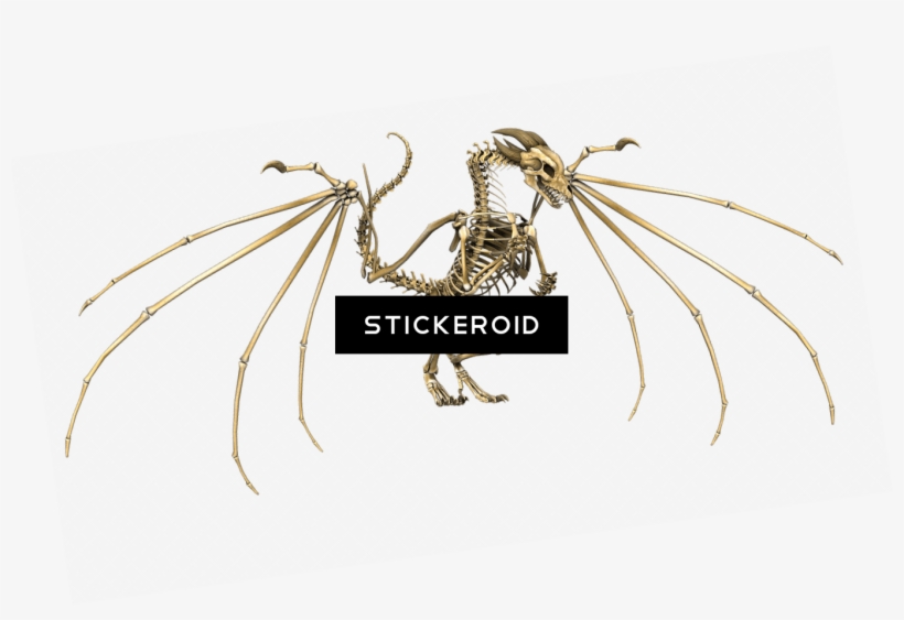 Dragon Skeleton - Free Transparent PNG Download - PNGkey