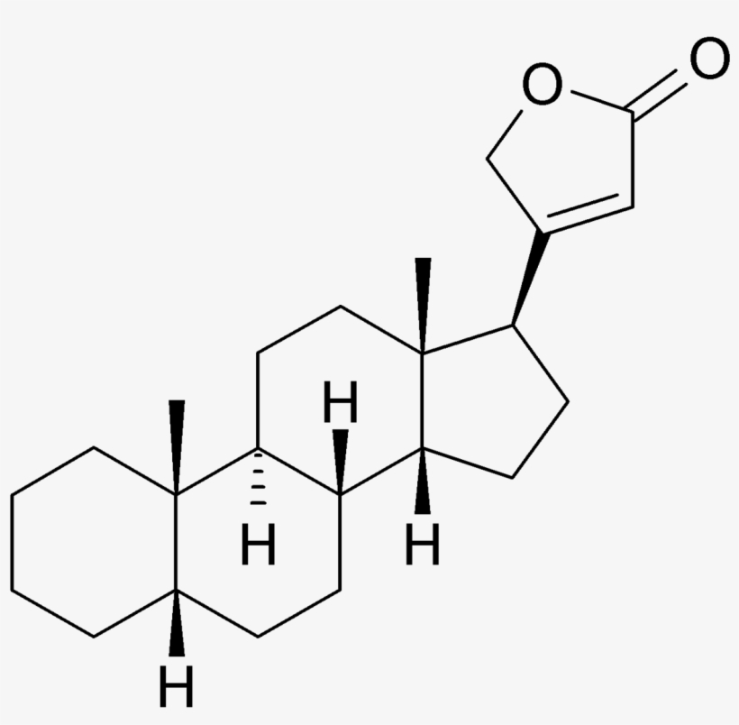 Cardenolide Structure - Free Transparent PNG Download - PNGkey