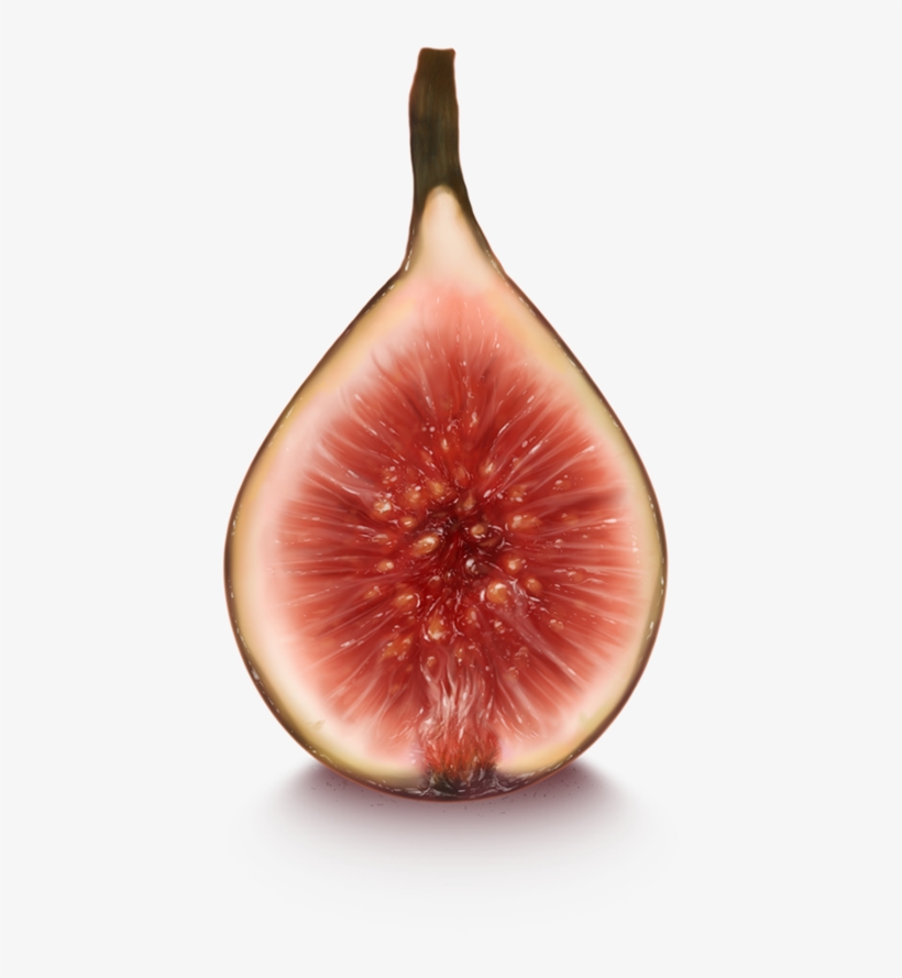 Half Figured - Half-figured - Free Transparent PNG Download - PNGkey