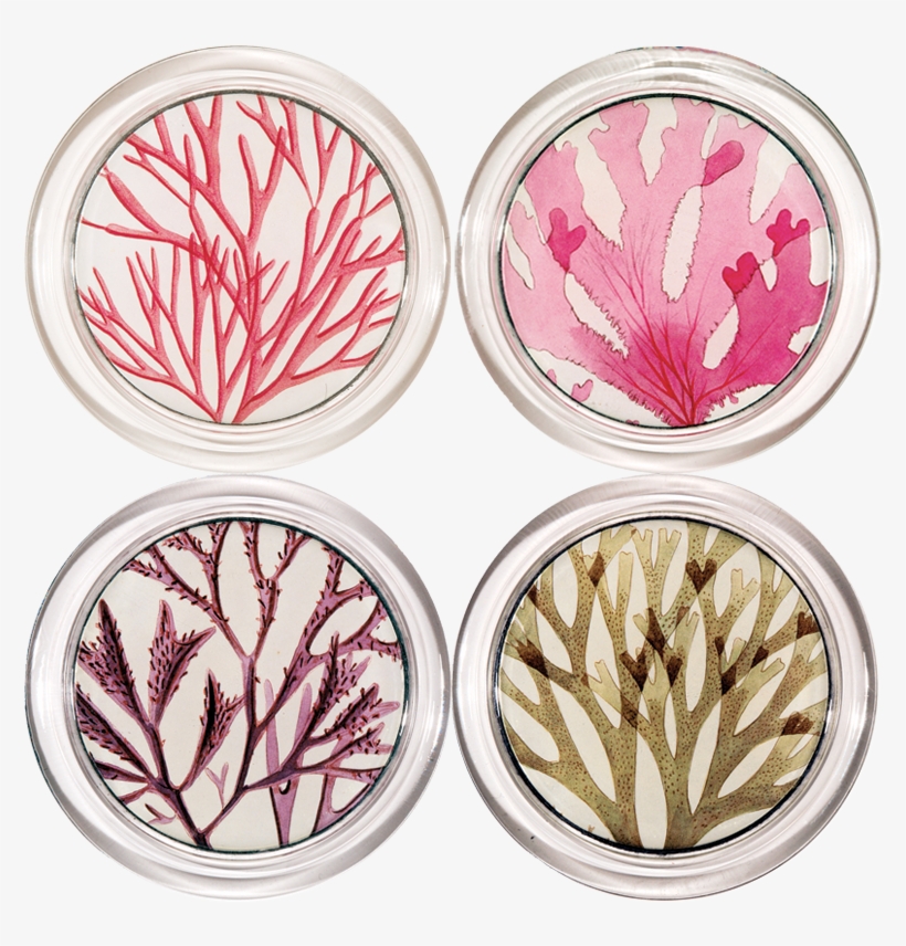 Drink Coaster - Free Transparent PNG Download - PNGkey