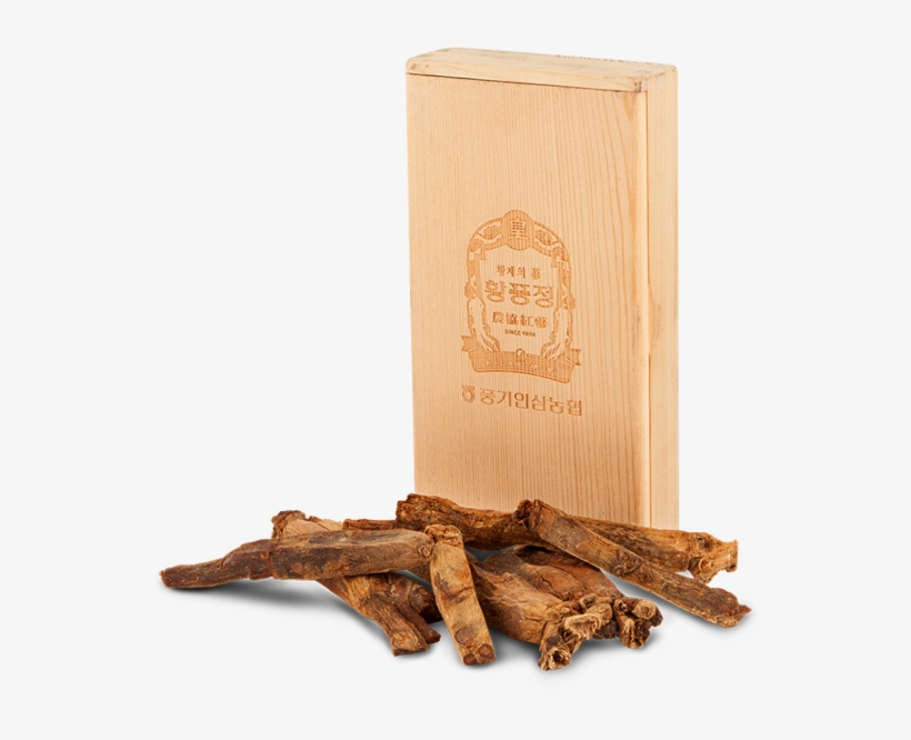 Korean Red Ginseng Root - Wood - Free Transparent PNG Download - PNGkey