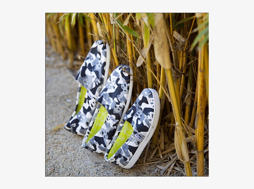 Toms Shoes Logo Png - Free Transparent PNG Download - PNGkey