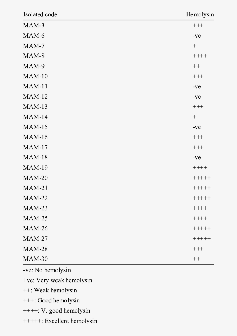 Hemolysin Production By Bacillus Spp - Monochrome - Free Transparent ...