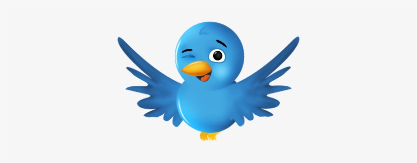 Cute Bird Transparent Background - Free Transparent PNG Download - PNGkey