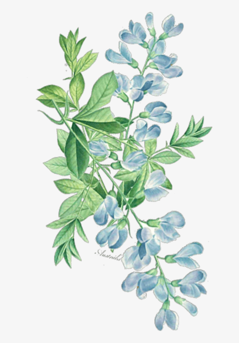 Ftestickers Watercolor Floral Leaves Greenery Corner - Free Transparent ...