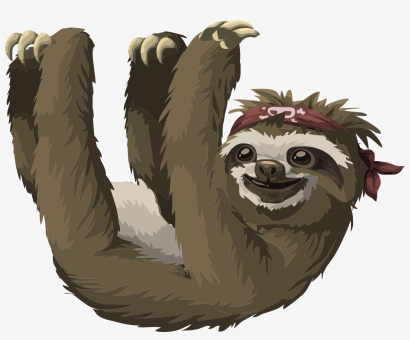 Pin By Vicki Jensen On For Buck - Sloth Clipart - Free Transparent PNG ...