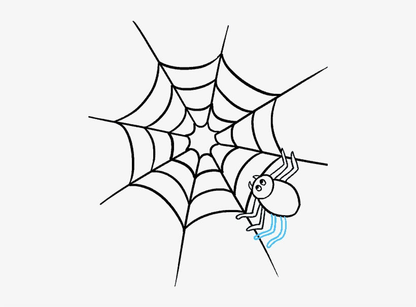 Spiders Drawing Realistic - Easy Spider Webs Drawing - Free Transparent ...