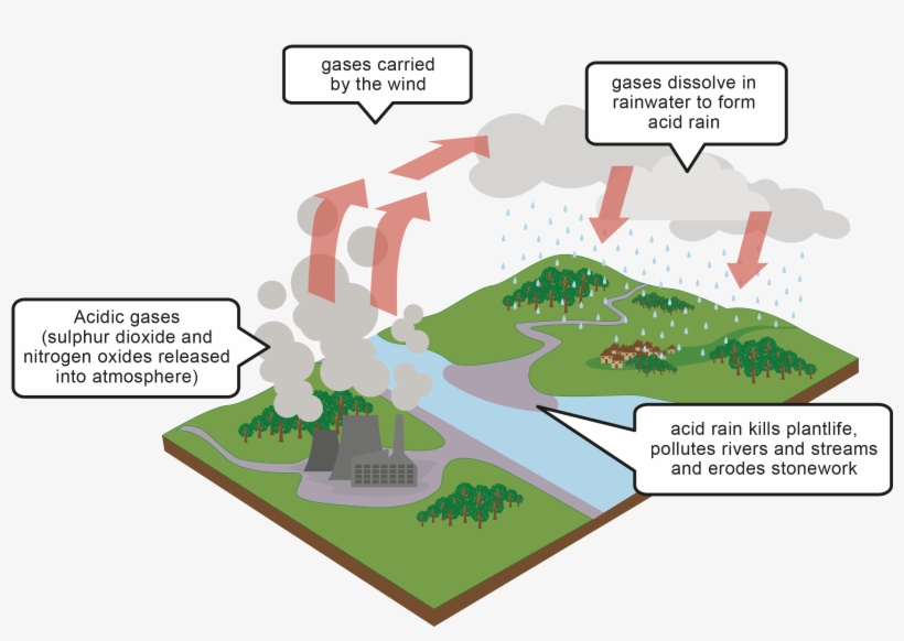 Acid Rain Diagrams - Free Transparent PNG Download - PNGkey