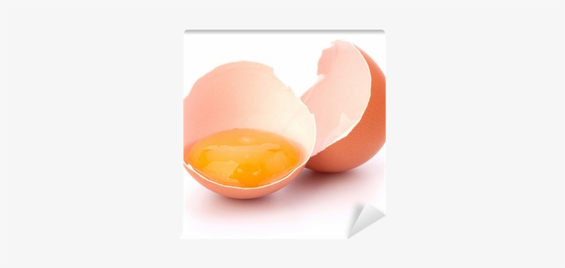 Egg - Free Transparent PNG Download - PNGkey