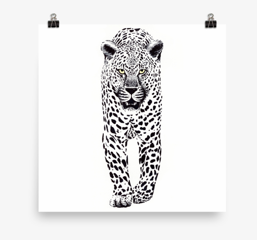 Leopard Ink Black And White Wall Art - African Leopard - Free ...
