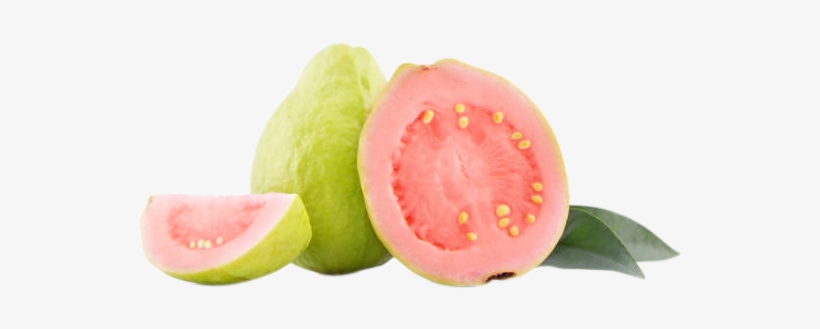 World's Best Guava - Half Guava - Free Transparent PNG Download - PNGkey