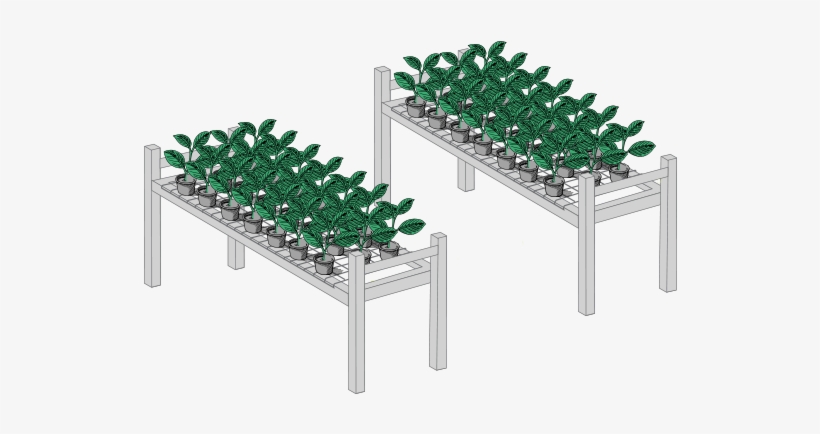 Cultivation Cannabis Grow Tables - Cannabis - Free Transparent PNG ...