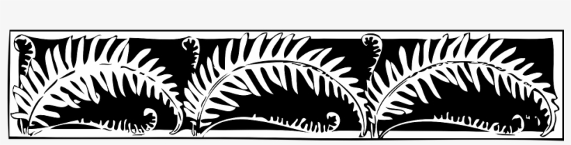 Fern Clipart Border - Free Transparent PNG Download - PNGkey