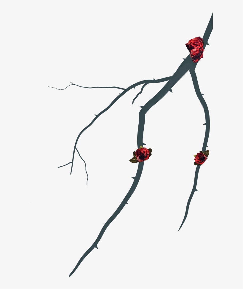 Alpha - Twig - Free Transparent PNG Download - PNGkey