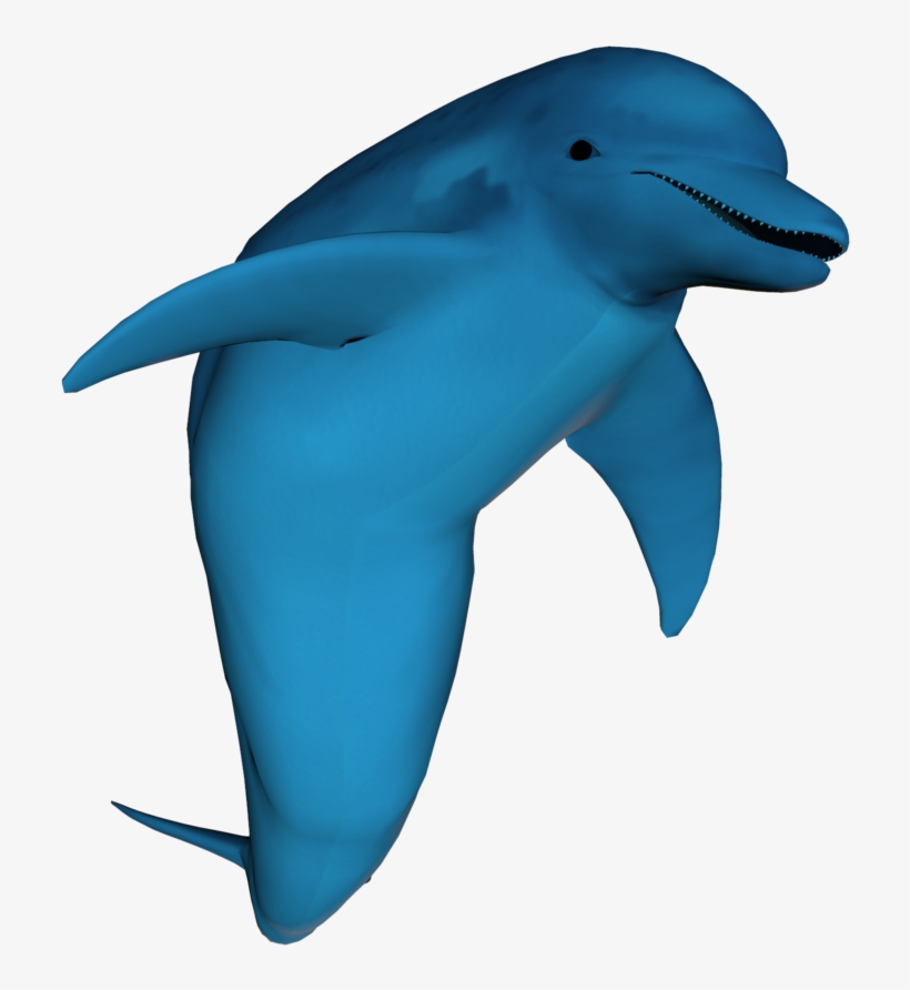 3d Dolphin Png Clipart Free - Stock Photo Dolphin - Free Transparent ...