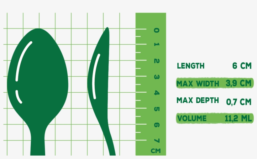 Spoons - Size? - Free Transparent PNG Download - PNGkey