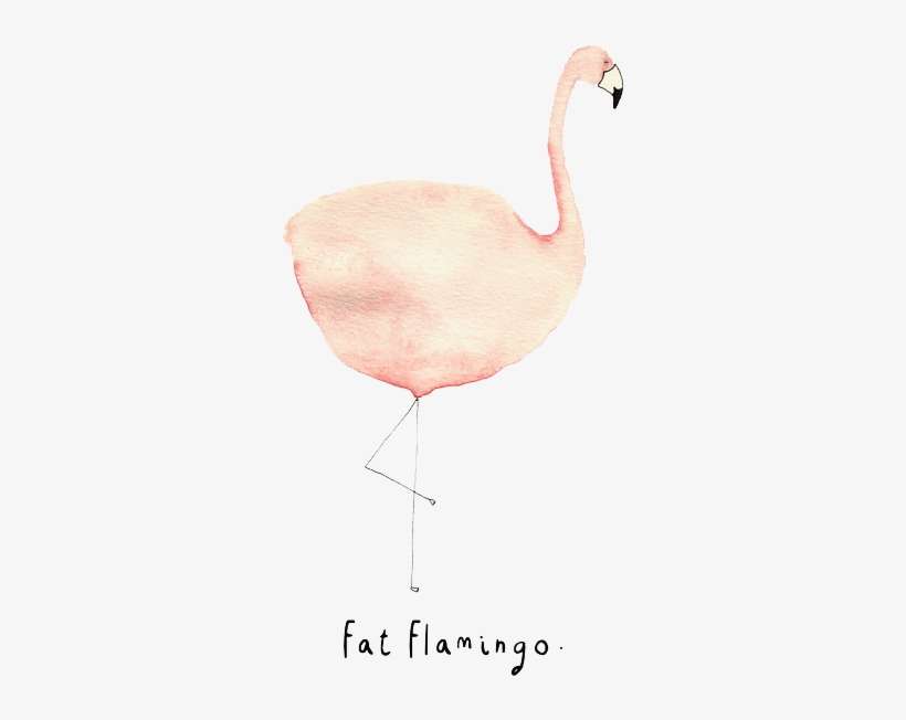 Gypsy/indie Blog ☆ - Fat Flamingos - Free Transparent PNG Download - PNGkey