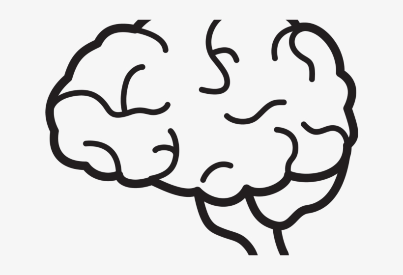 Brain Png Transparent Images - Brain Clipart - Free Transparent PNG ...