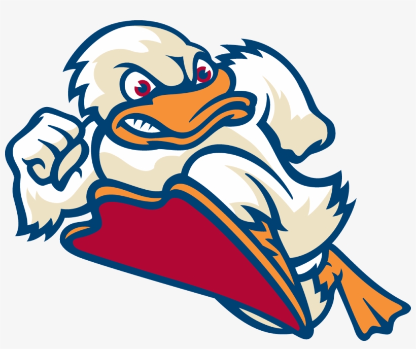 Stevens Ducks Mascot, Attila, Color - Free Transparent PNG Download ...