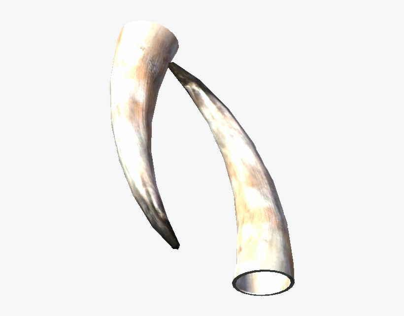 Horn - Free Transparent PNG Download - PNGkey