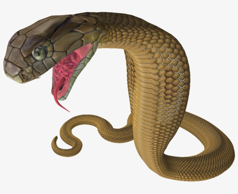 Serpent - Free Transparent PNG Download - PNGkey