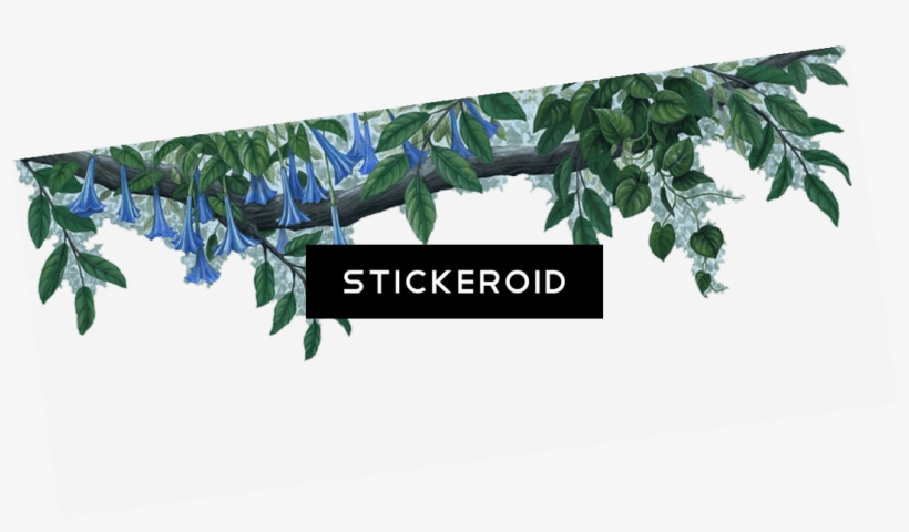 Jungle Border Nature - Jungle Borders Transparent Png - Free ...