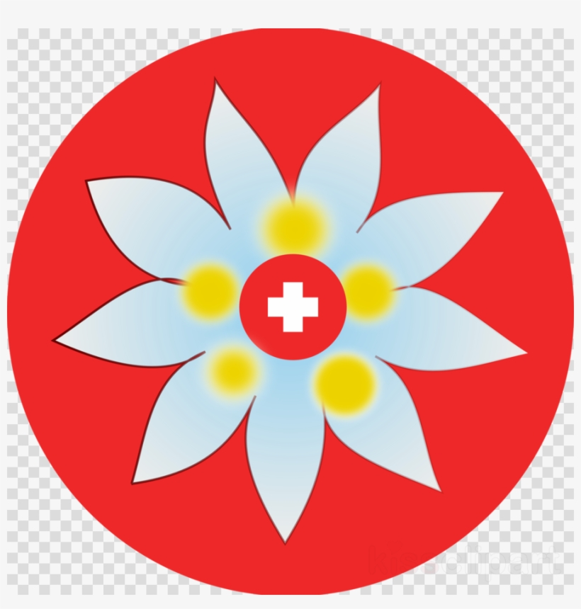 Edelweiss Swiss Flower Clipart Switzerland Leontopodium - Map Maker ...