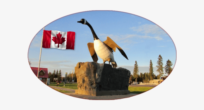 The Wawa Goose - Free Transparent PNG Download - PNGkey