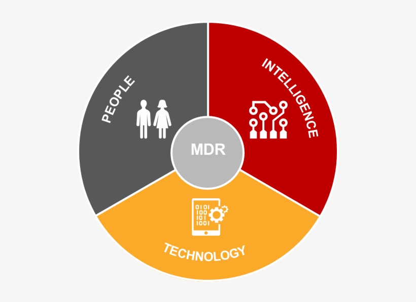 The Three Main Components Of Mdr - Free Transparent PNG Download - PNGkey