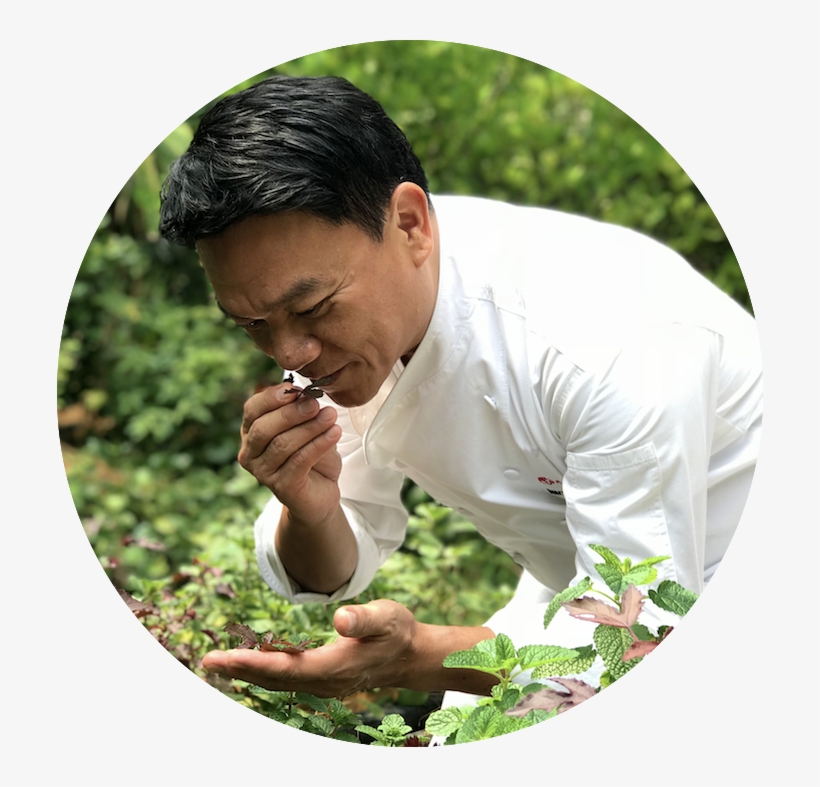 Eating - Free Transparent PNG Download - PNGkey