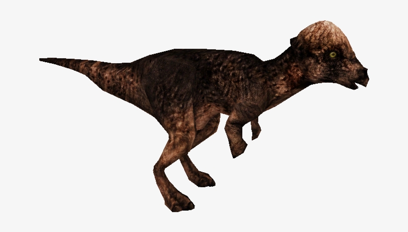 Pachycephalosaurus - Lesothosaurus - Free Transparent PNG Download - PNGkey