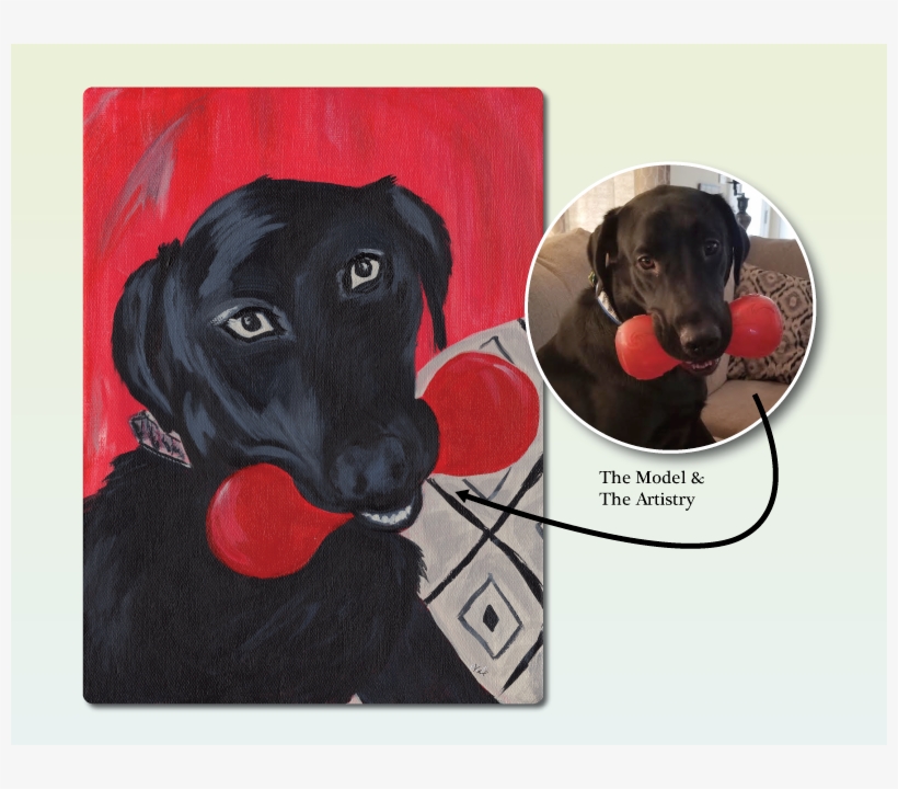 Bear Black Lab - Labrador Retriever - Free Transparent PNG Download ...