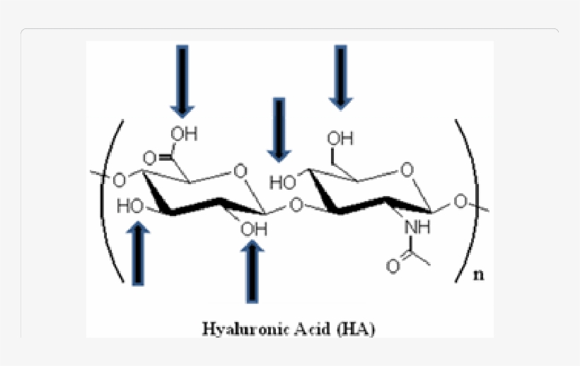 Spatial Structure Of Hyaluronic Acid - Hyaluronan - Free Transparent ...